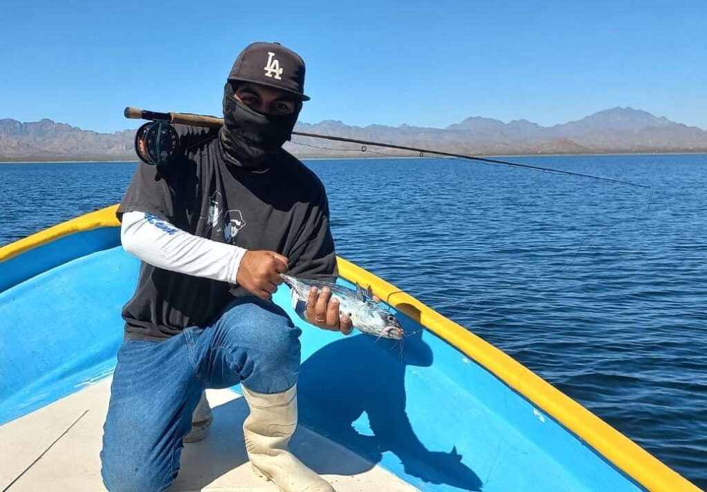 SPORTFISHING - Loreto Sea and Land Tours and Dive Center